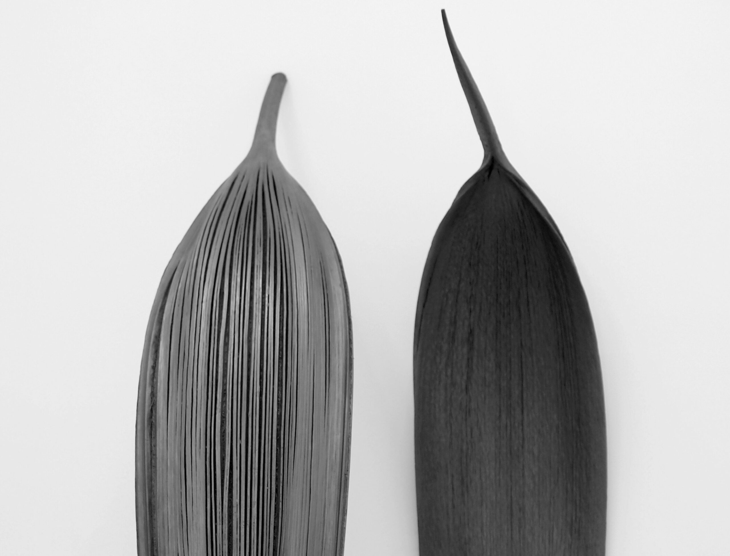 Intervento di Alberta Pane - Fondazione Alberto Peruzzo